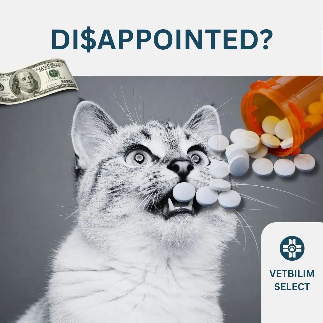 Respiratory Distress in Cattle: Causes, First Aid, and Guide - VetBilim