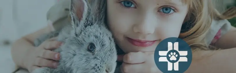 Rabbit scratching and biting itself: Is it itchiness or stress? - VetBilim